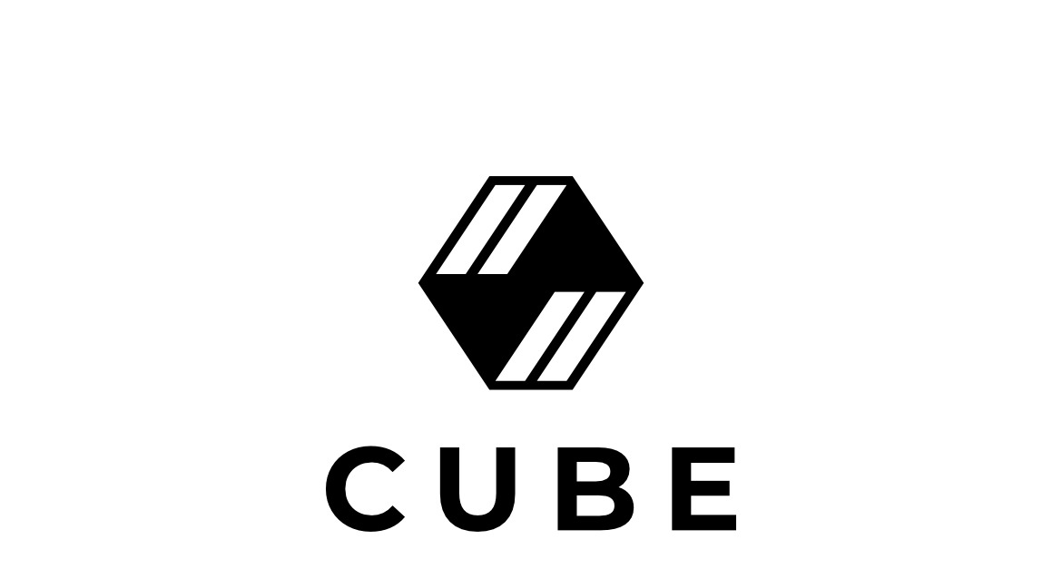 Black Cube Flat Modern Logo #235624 - TemplateMonster