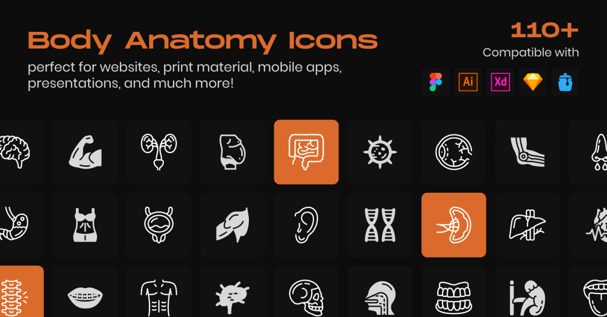 Paquete de iconos de línea de anatomía corporal