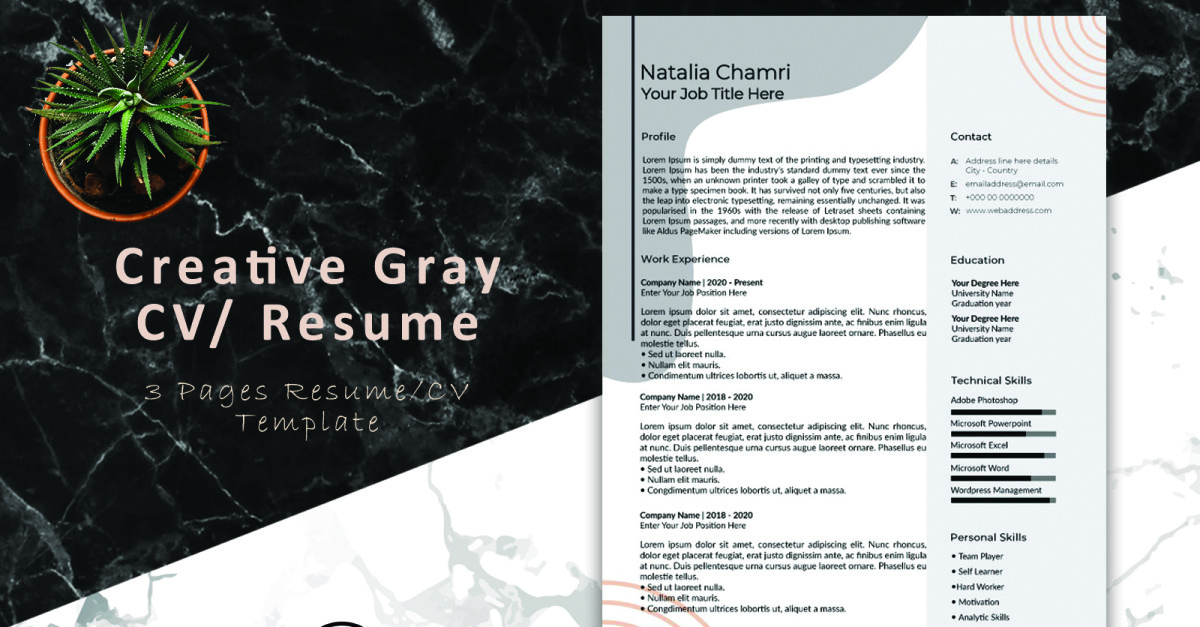 Creative Gray Shade Resume Template #237729 - TemplateMonster