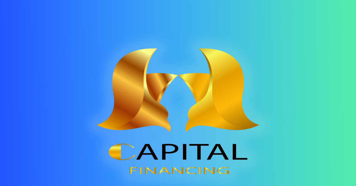 Capital Financing Logo Golden Birds Logo - TemplateMonster