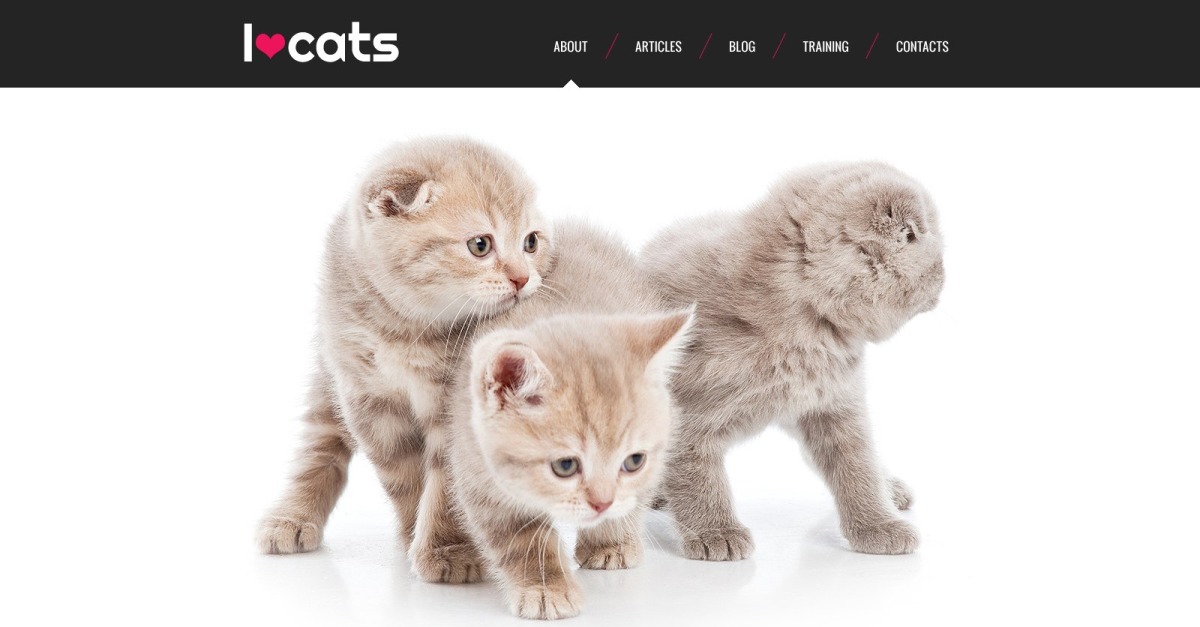 Ücretsiz Kedi Web Sitesi Şablonu #248034 - TemplateMonster Ücretsiz Kedi Web Sitesi Şablonu #248034 - TemplateMonster