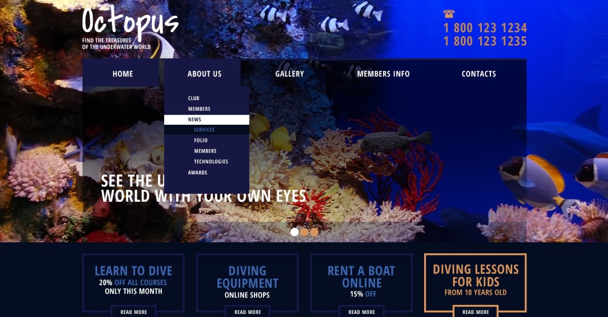 Free Diving Responsive Website Template - TemplateMonster