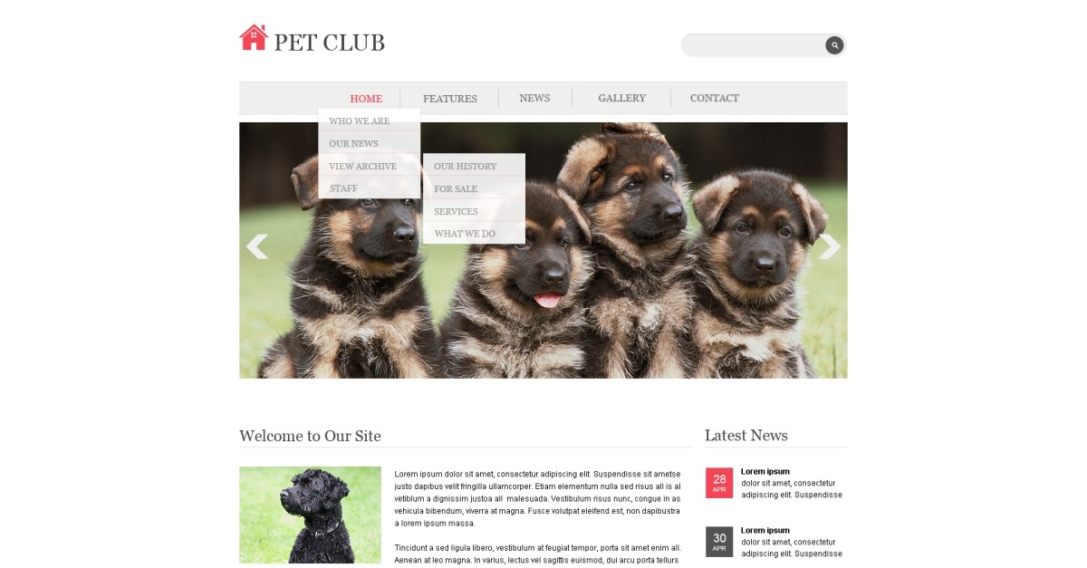Free Dog Responsive Website Theme #248228 - TemplateMonster