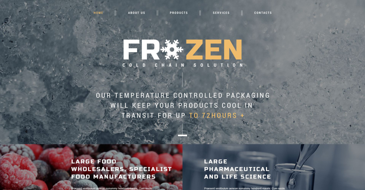 Free Frozen Food Responsive Website Template
