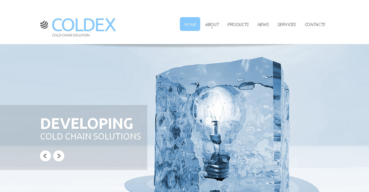 Free Frozen Fresh Foods Responsive Website Template