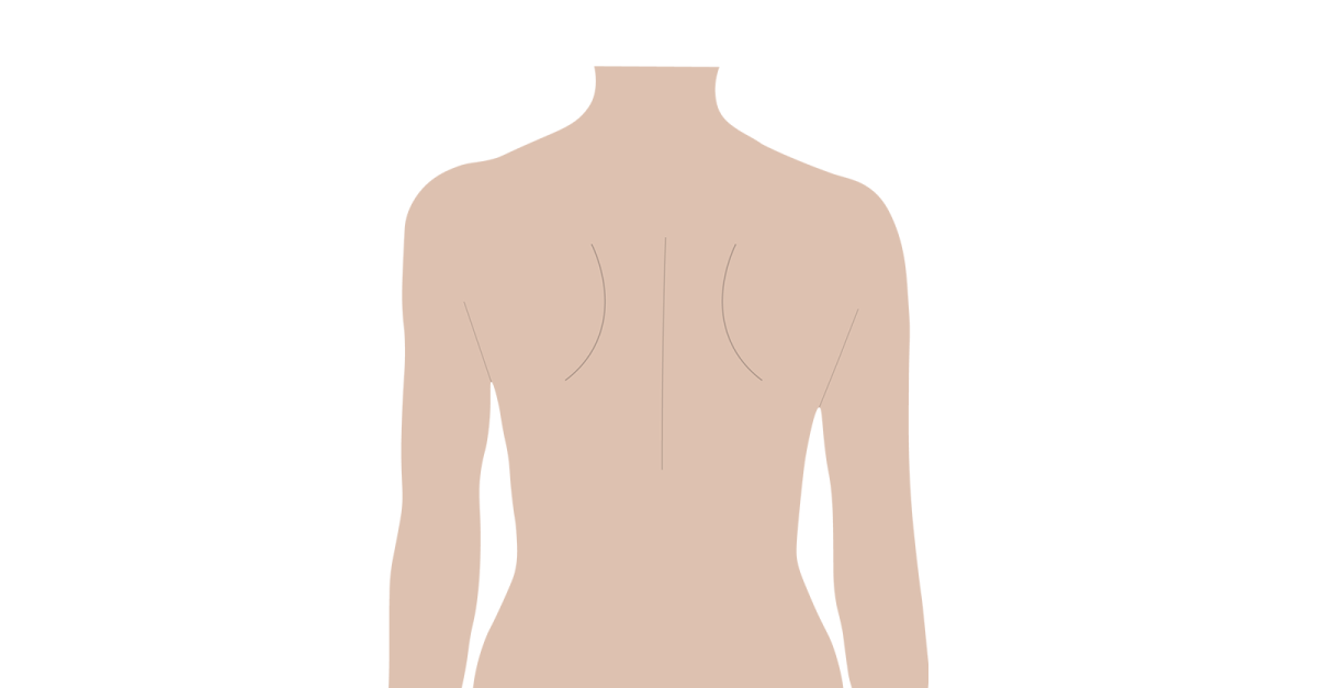 Woman Back Illustration Vector #252399 - TemplateMonster