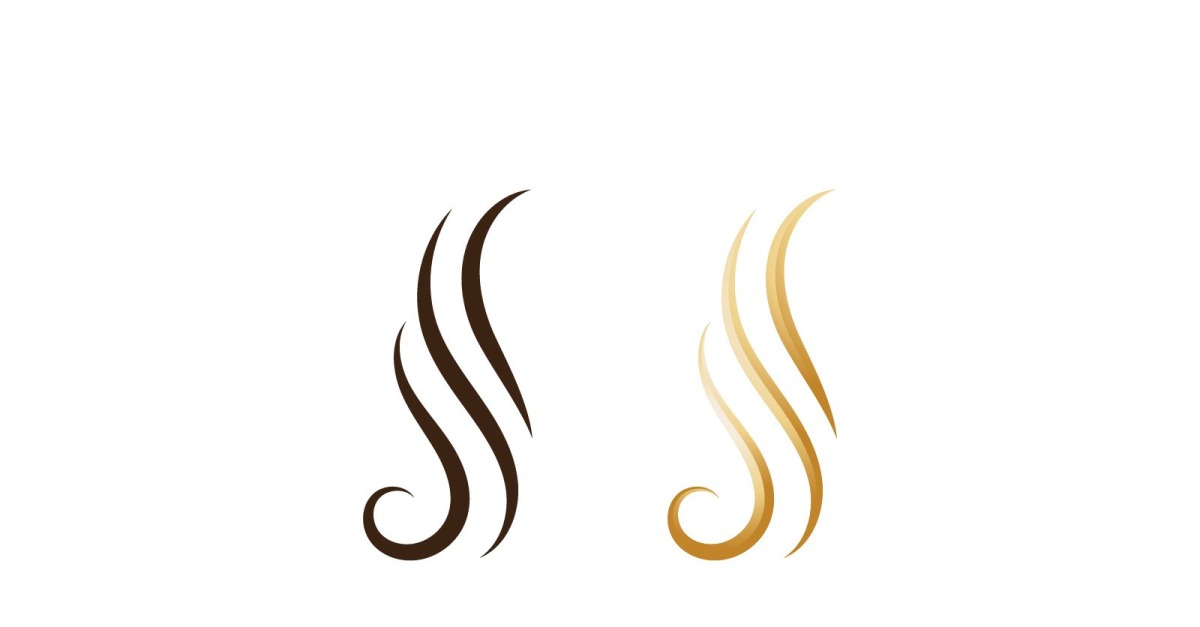 Hair SalonLogo Template Vector Illustration Design V5