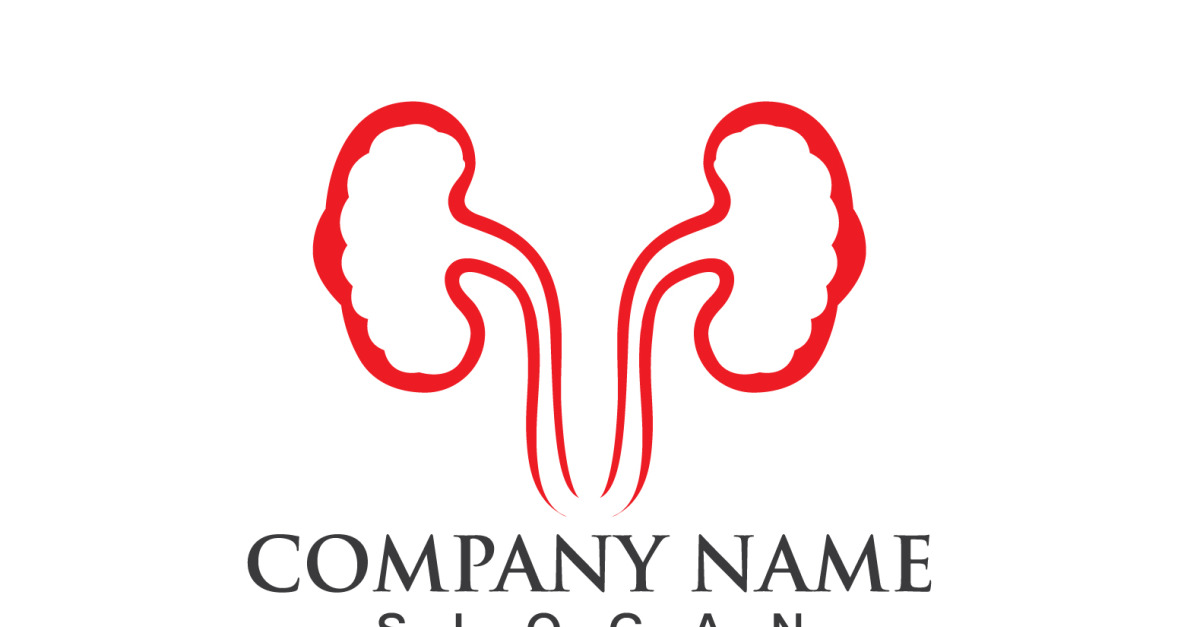 Kidney Vector Illusrtation Design Logo Template V4