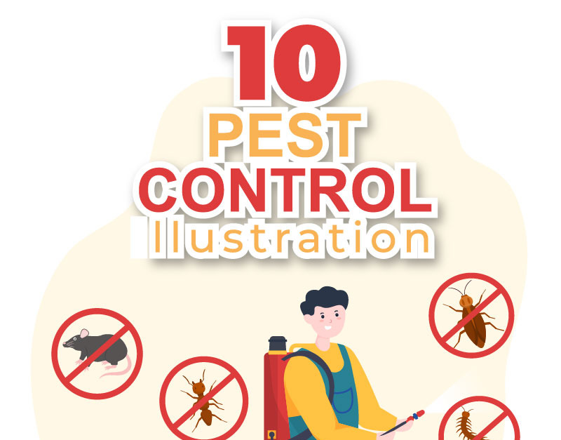 10 Pest Control Service Illustration - TemplateMonster