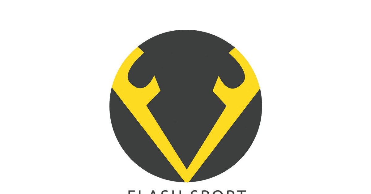 Flash Sport logo Template #273775 - TemplateMonster