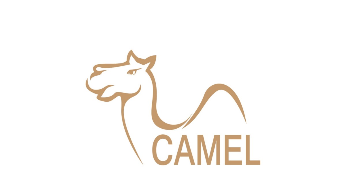 Camel Icon And Symbol Vector Template Illustration 6