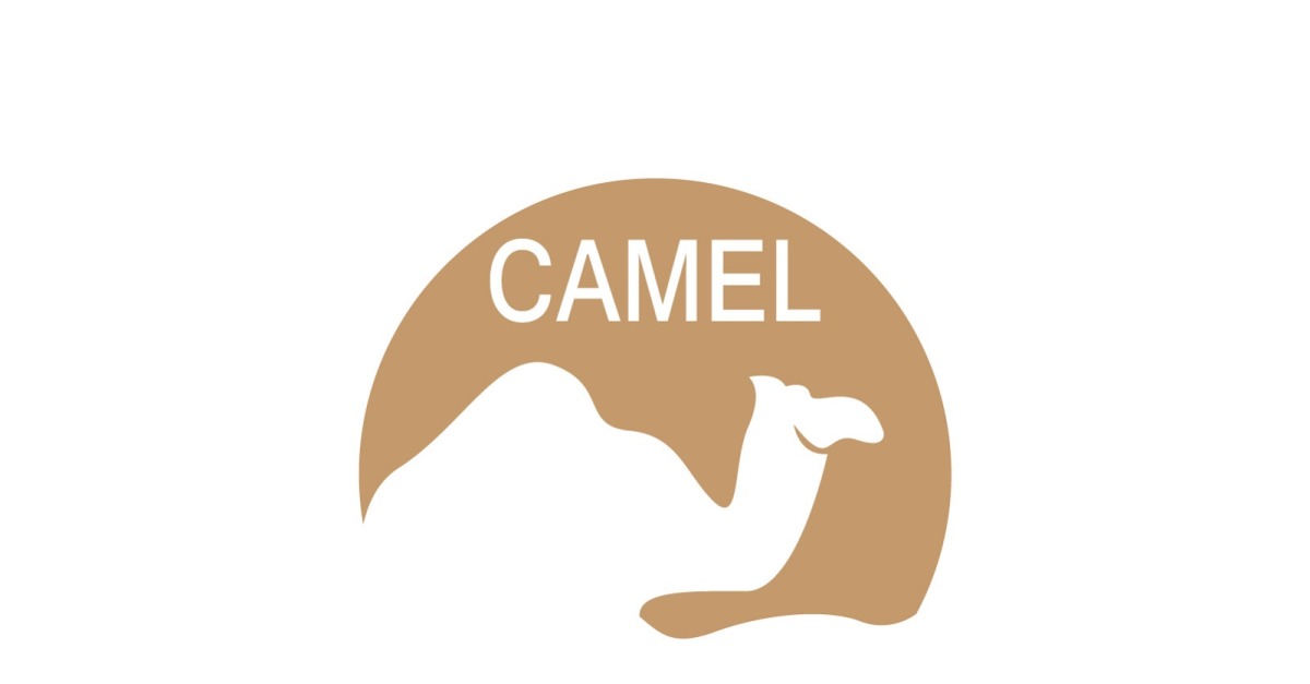 Camel Icon And Symbol Vector Template Illustration 9