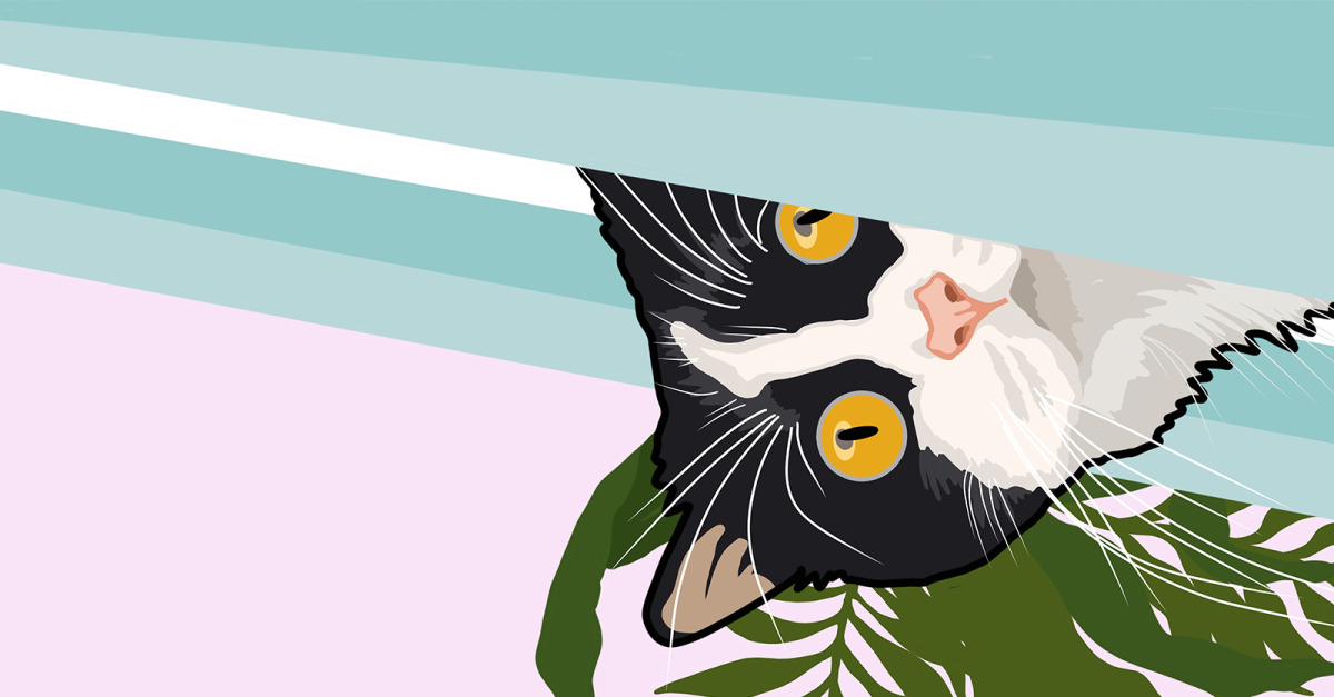 Molly the Cat Illustration #288376 - TemplateMonster