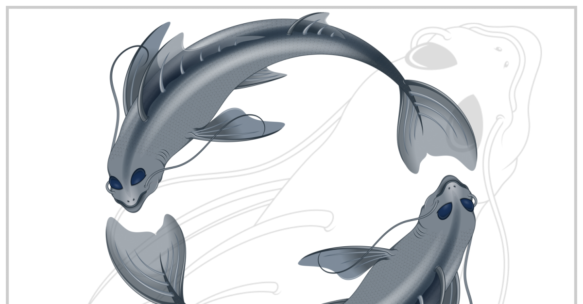 Mustache Fish Vector Design #288900 - TemplateMonster