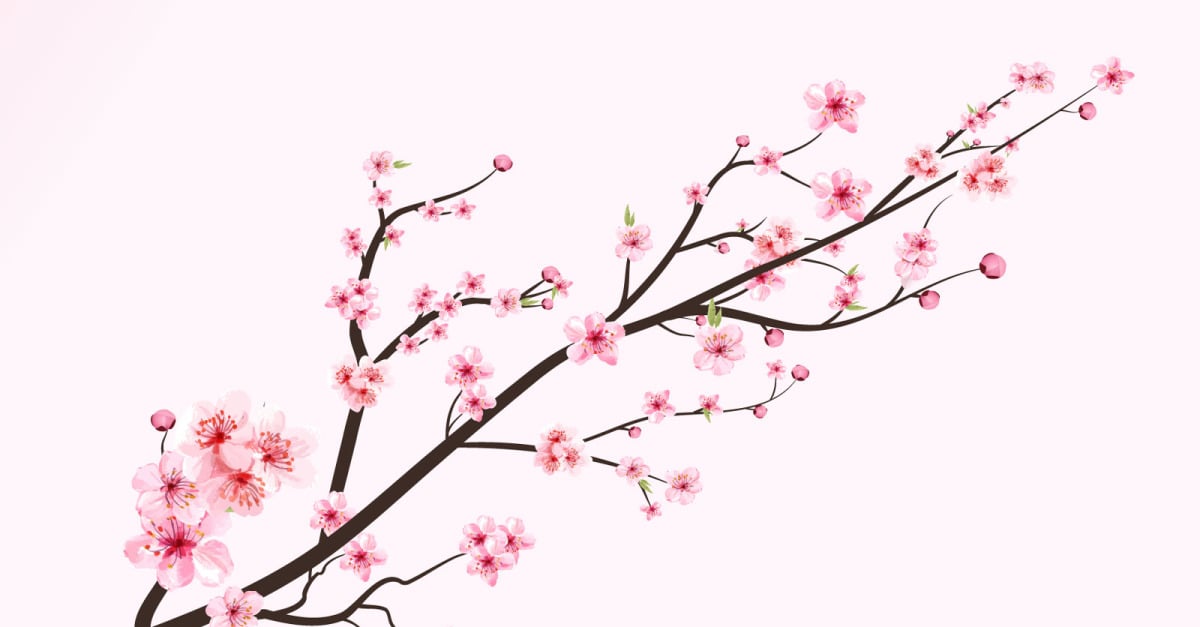 Japanese Cherry Blossom with Pink Sakura - TemplateMonster