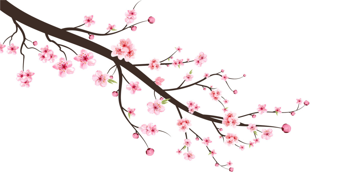 Rama de flor de cerezo con diseño de Sakura - TemplateMonster