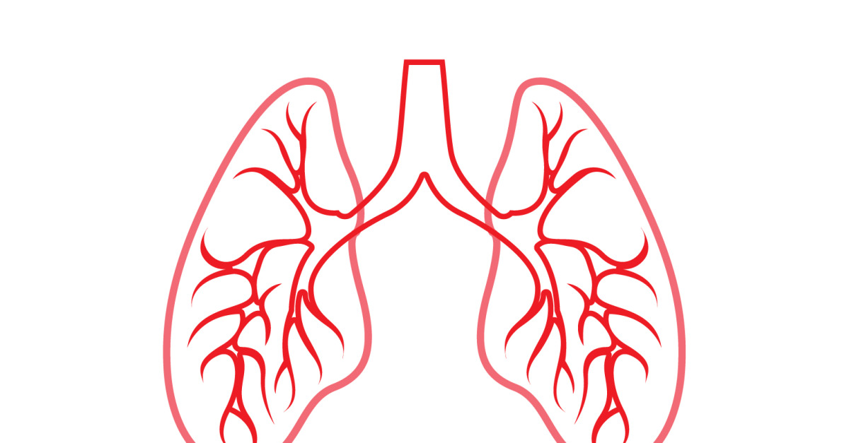 Human Lung Vector Image Template Vol 12 - TemplateMonster