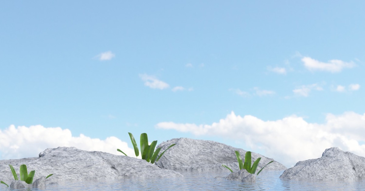 水反射上有石头和树叶的产品讲台 #297194 - TemplateMonster