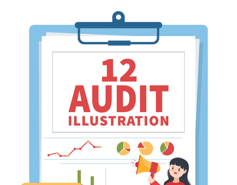 12 Business Audit Documents Illustration - TemplateMonster