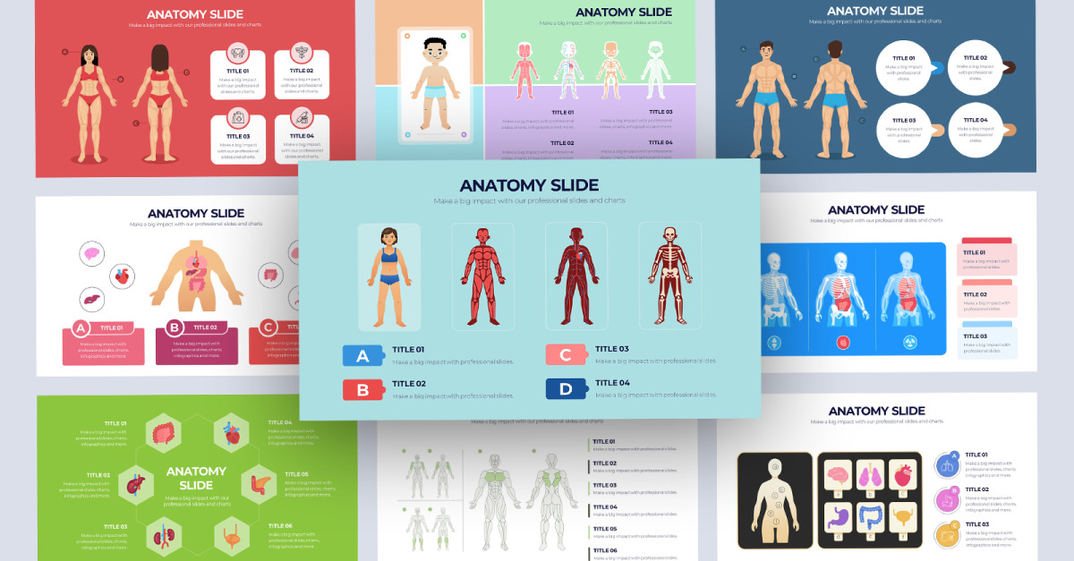 Human Anatomy Vector Infographic PowerPoint Template