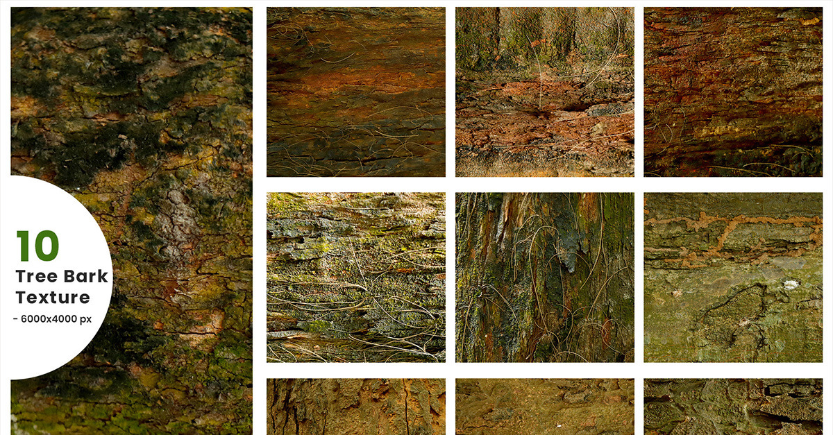Realistic tree bark texture background and Timber texture background ...