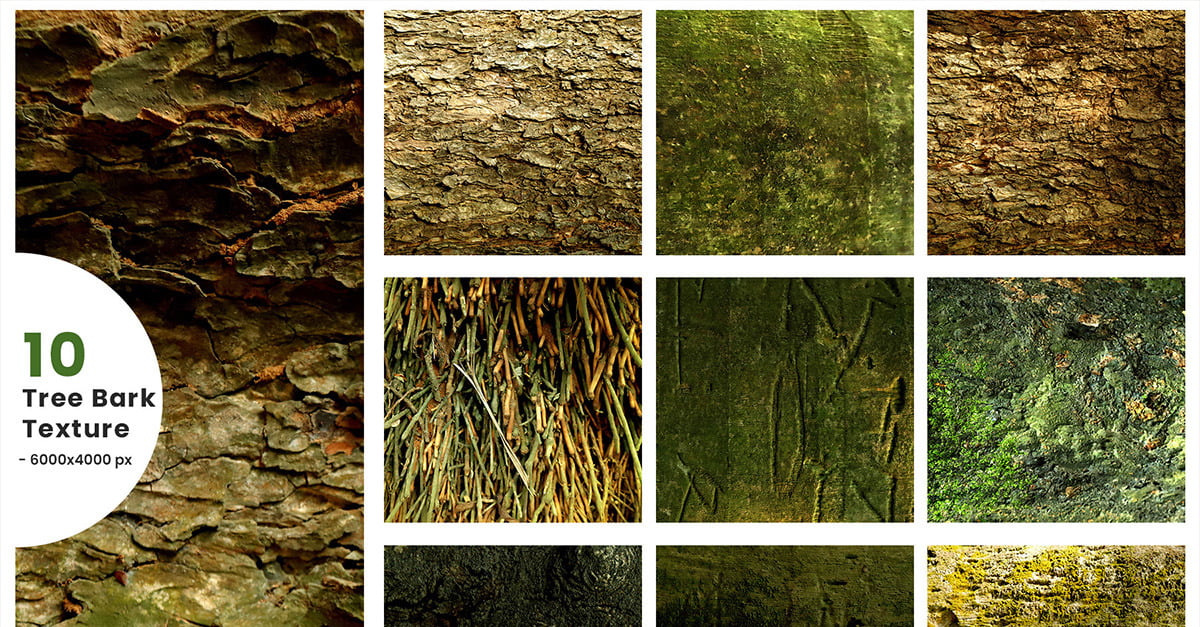 Wooden tree wallpaper texture background concept and plam tree bark texture