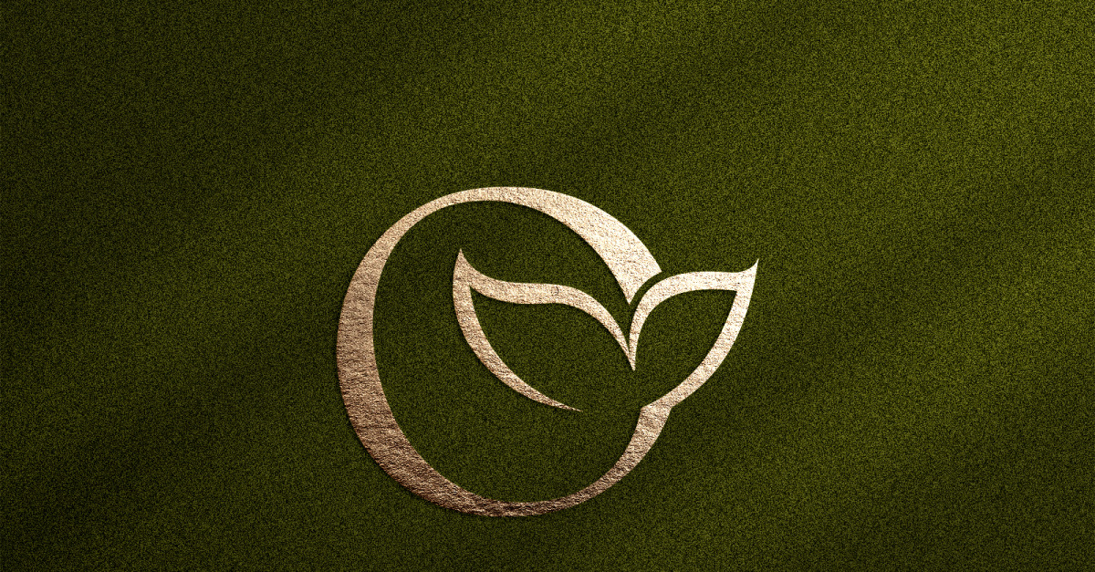 Floral Beauty Logo Leaf Natural Letter O - TemplateMonster