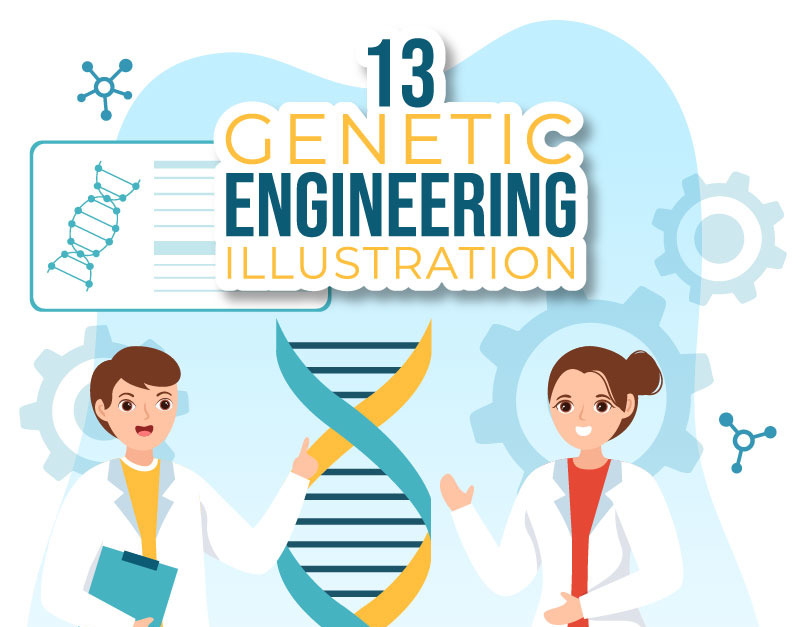 13 Genetic Engineering and DNA Modifications Illustration