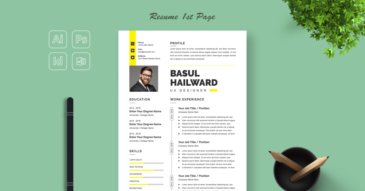 UX Designer Professional Resume Template - TemplateMonster