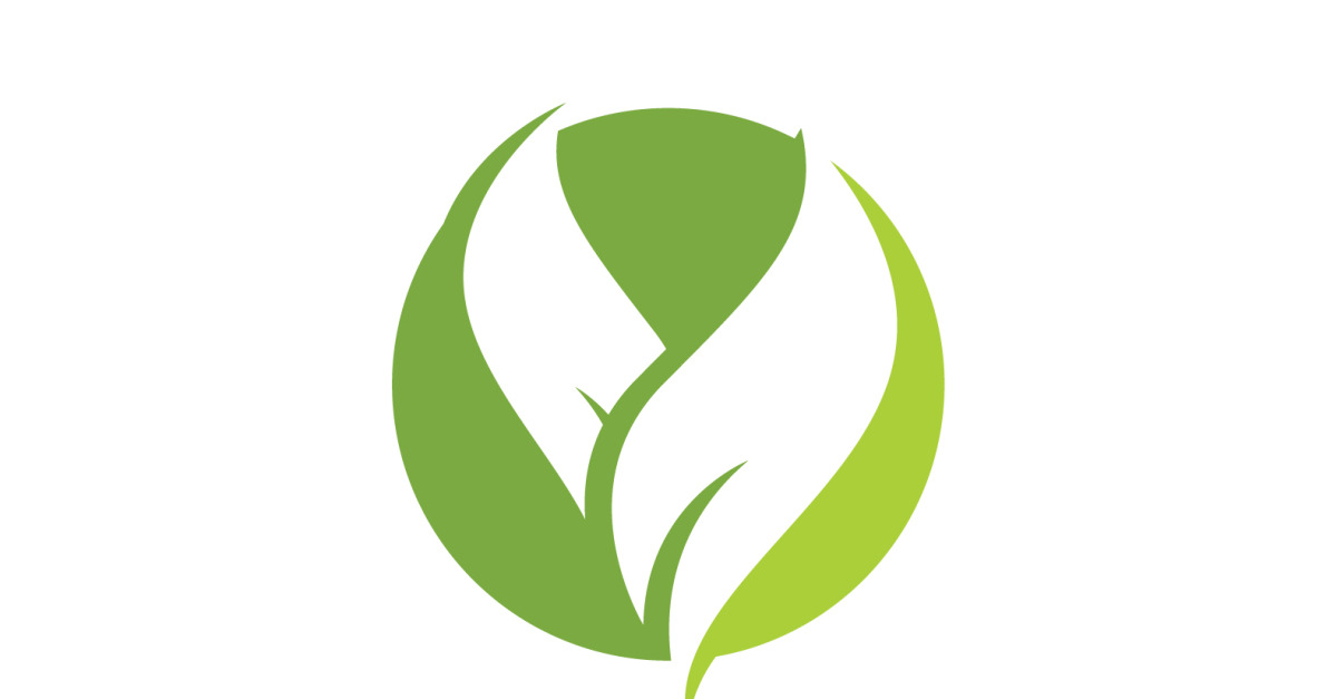 Hoja verde ecología naturaleza hoja árbol v36