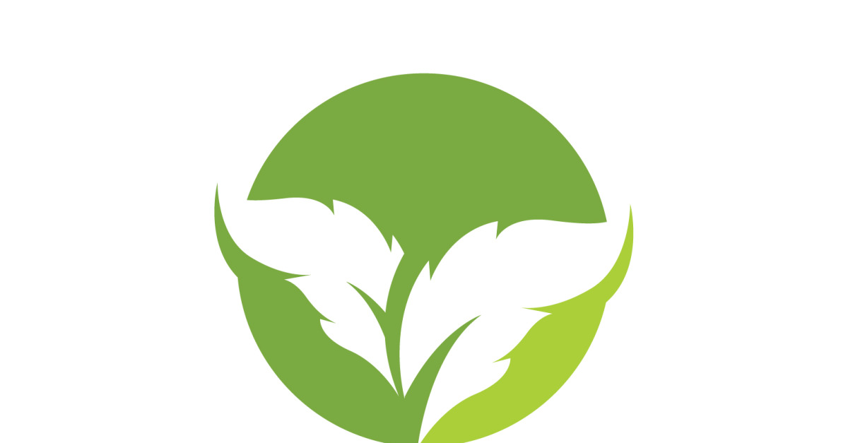 Hoja verde ecología naturaleza hoja árbol v44