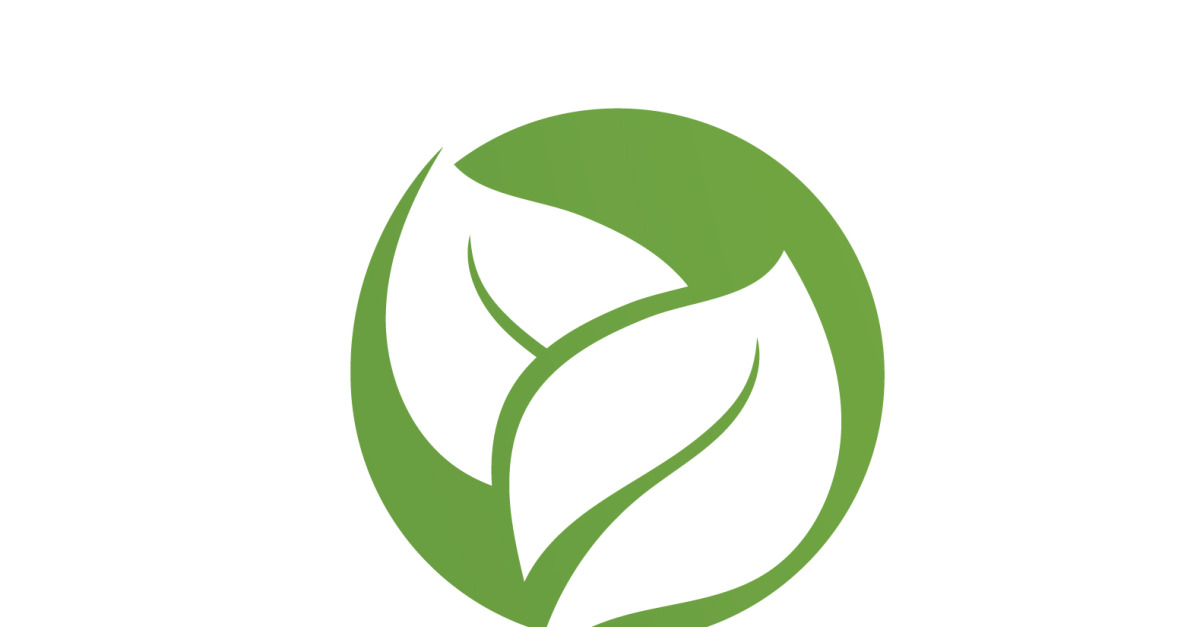 Logotipo fresco da natureza do chá verde da folha v44