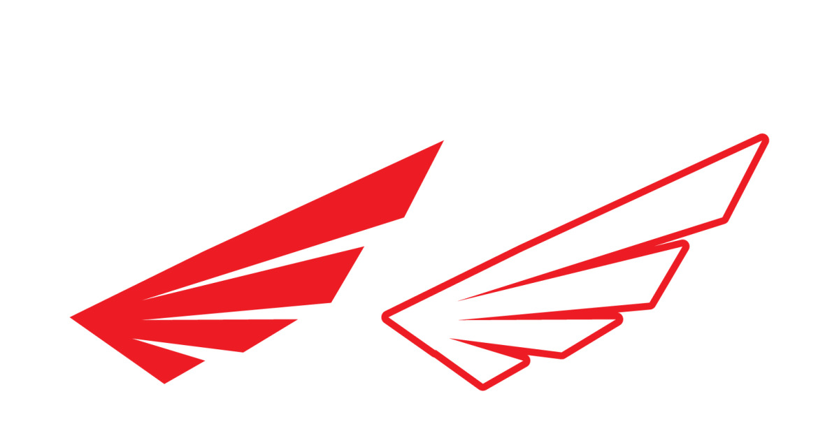 Wing bird falcon angel vector design for logo v33