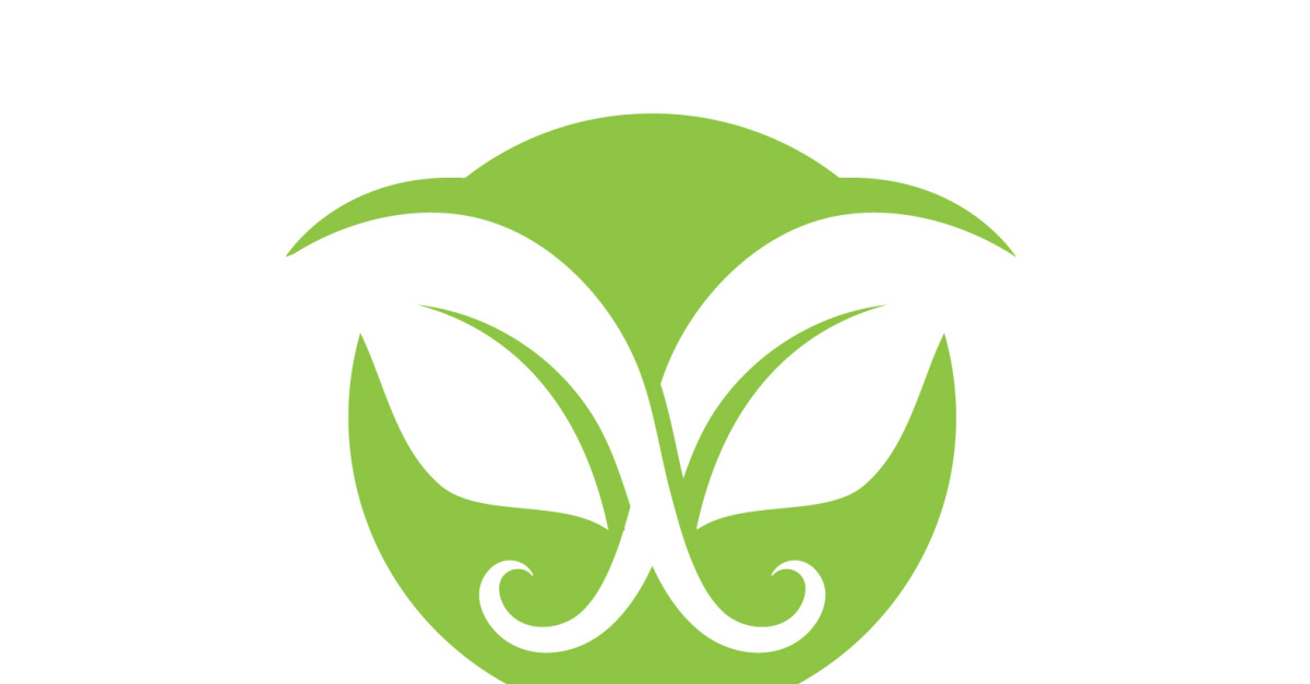 Hoja de té de árbol verde de hoja ecológica y logotipo de hoja de ...