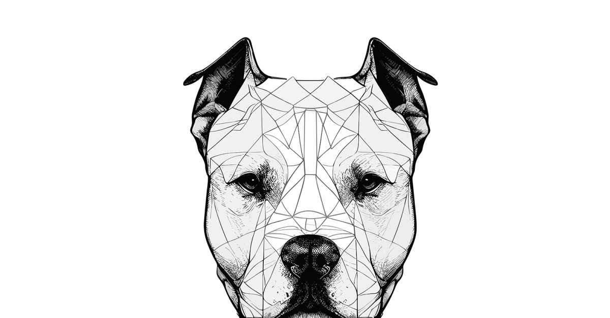 Ennis Shane Art Pitbull Kopf Symmetrie Illustration Vektor