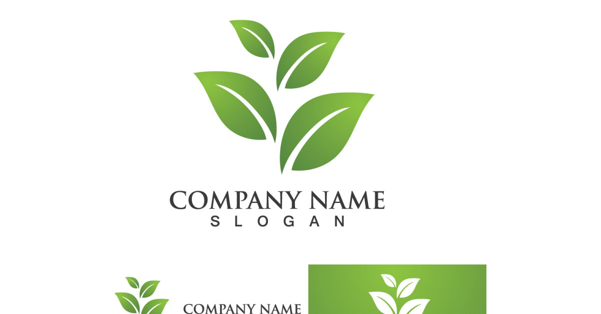 Green eco leaf nature tree design template logo v15