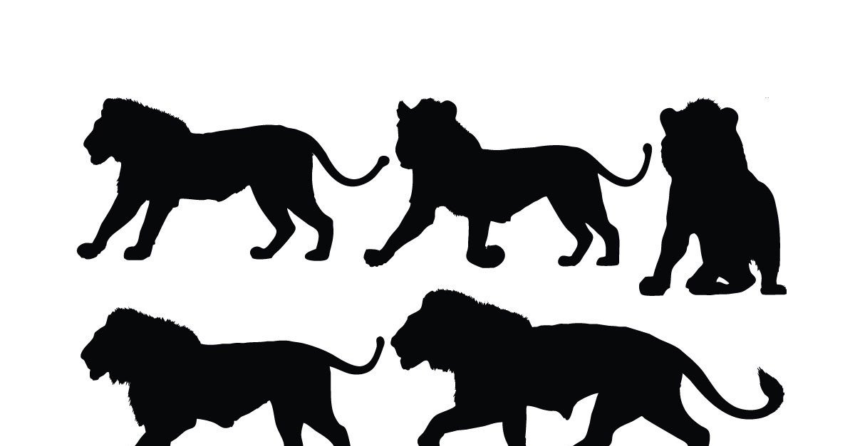 León de pie en diferentes posiciones - TemplateMonster