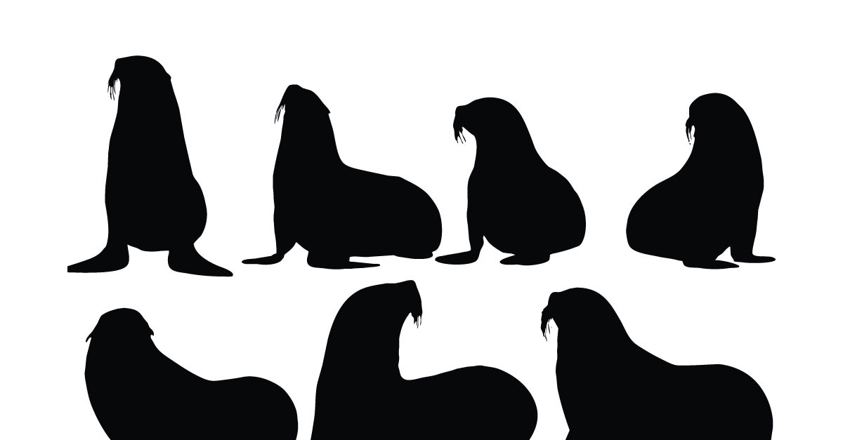 Sea lions sitting silhouette vector #336530 - TemplateMonster