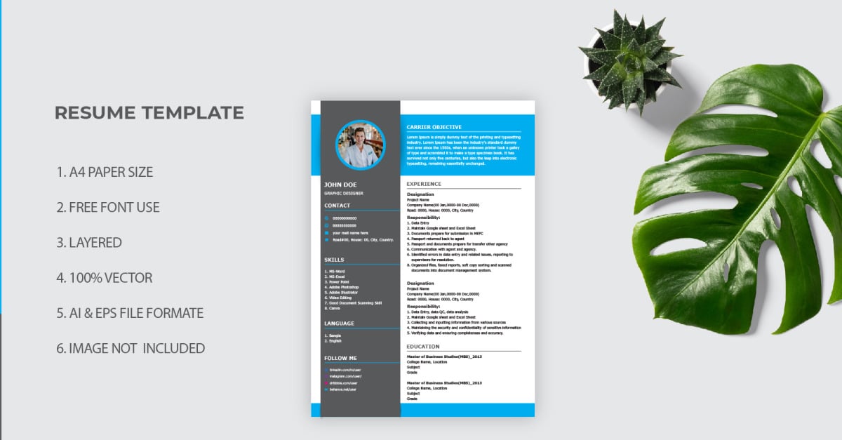 Innovate Pro Professional Editable Cv Resume Template