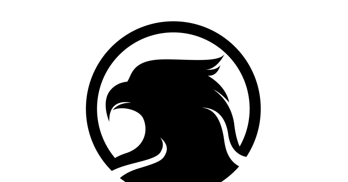 Eagle head Logo Vector icon Template vector v22