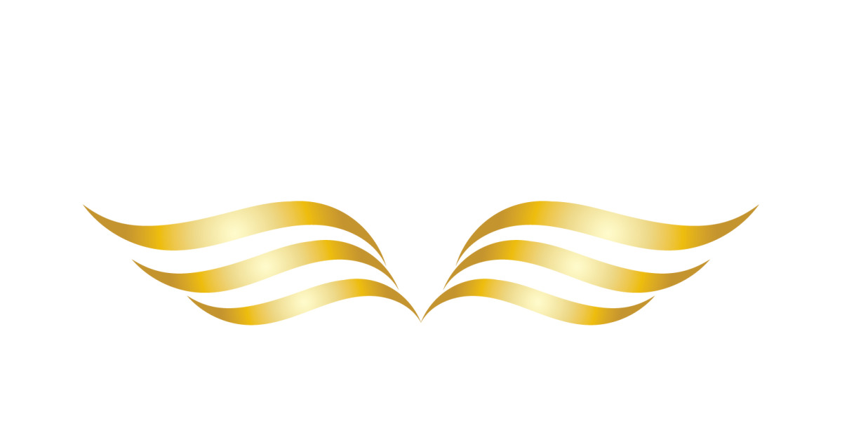 Dove bird and wing logo vector template v27 - TemplateMonster