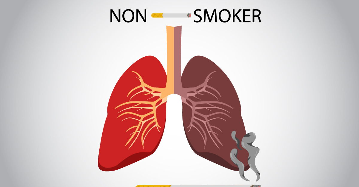 Modèle d'illustration des poumons non-fumeurs et fumeurs