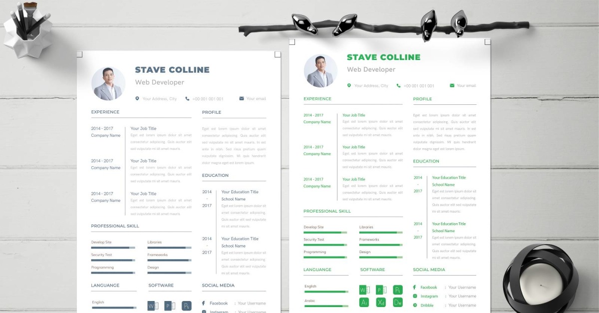 Web Wonder - Web Developer Resume Template - TemplateMonster