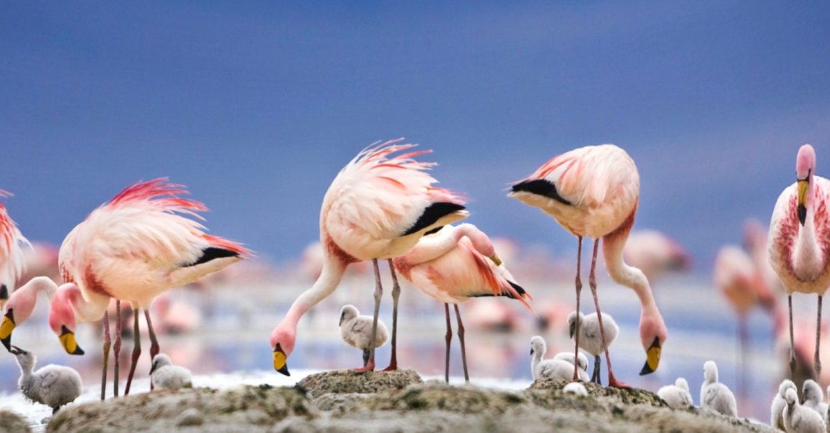 3D 幻灯片 After Effects 模板 #341460 - TemplateMonster