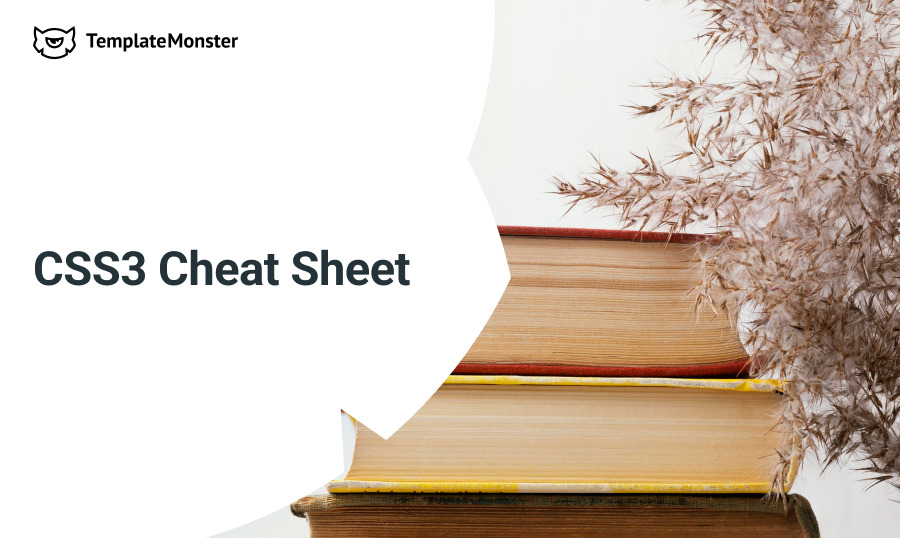 CSS3 Cheat Sheet Free eBook #341989 - TemplateMonster