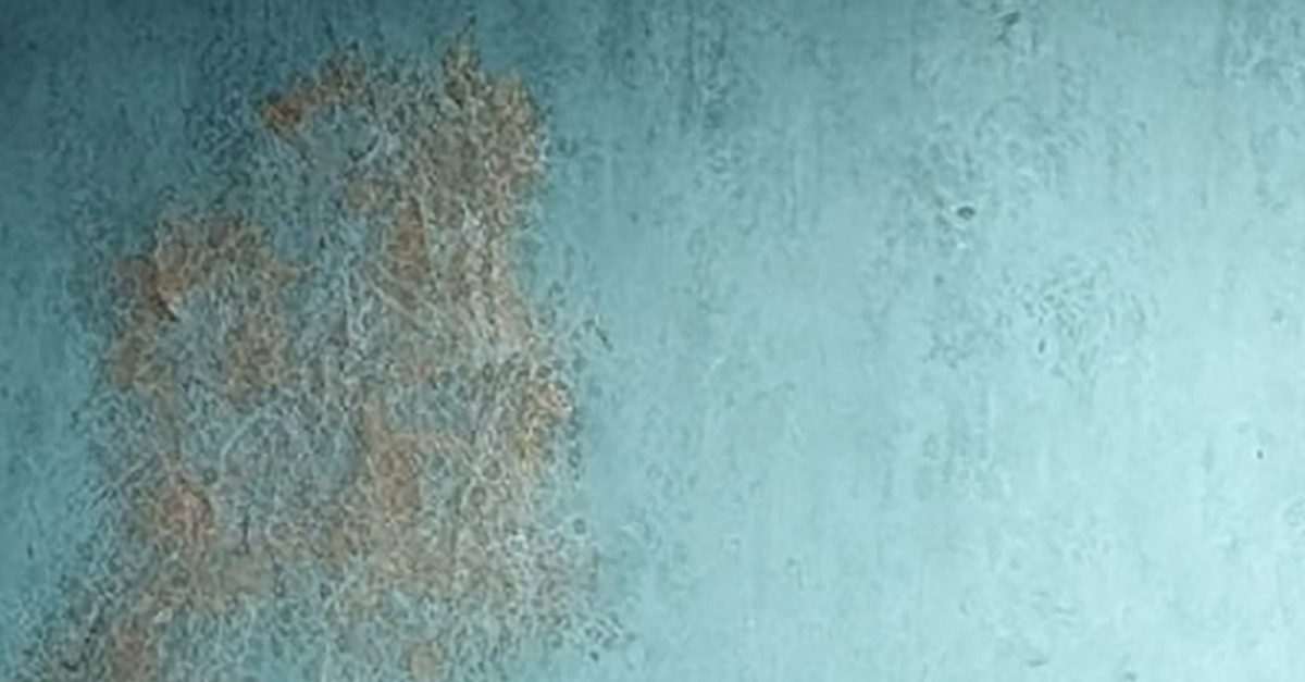 Paint Backdrop | Wall Texture Background - TemplateMonster