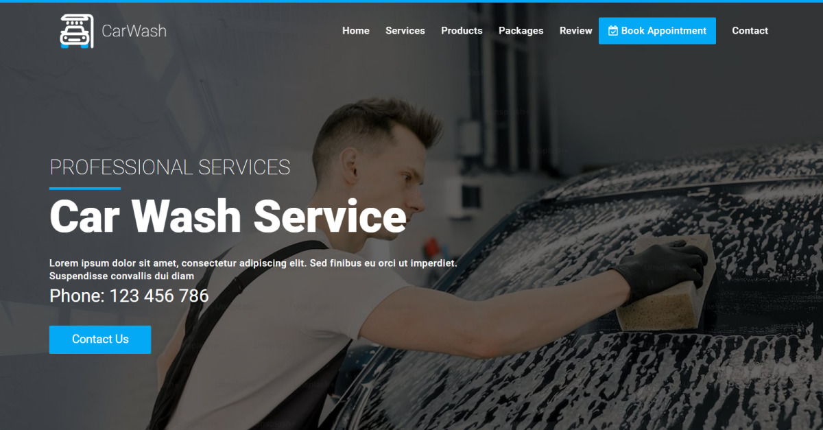CarWash - Car Wash Landing Page Template - TemplateMonster