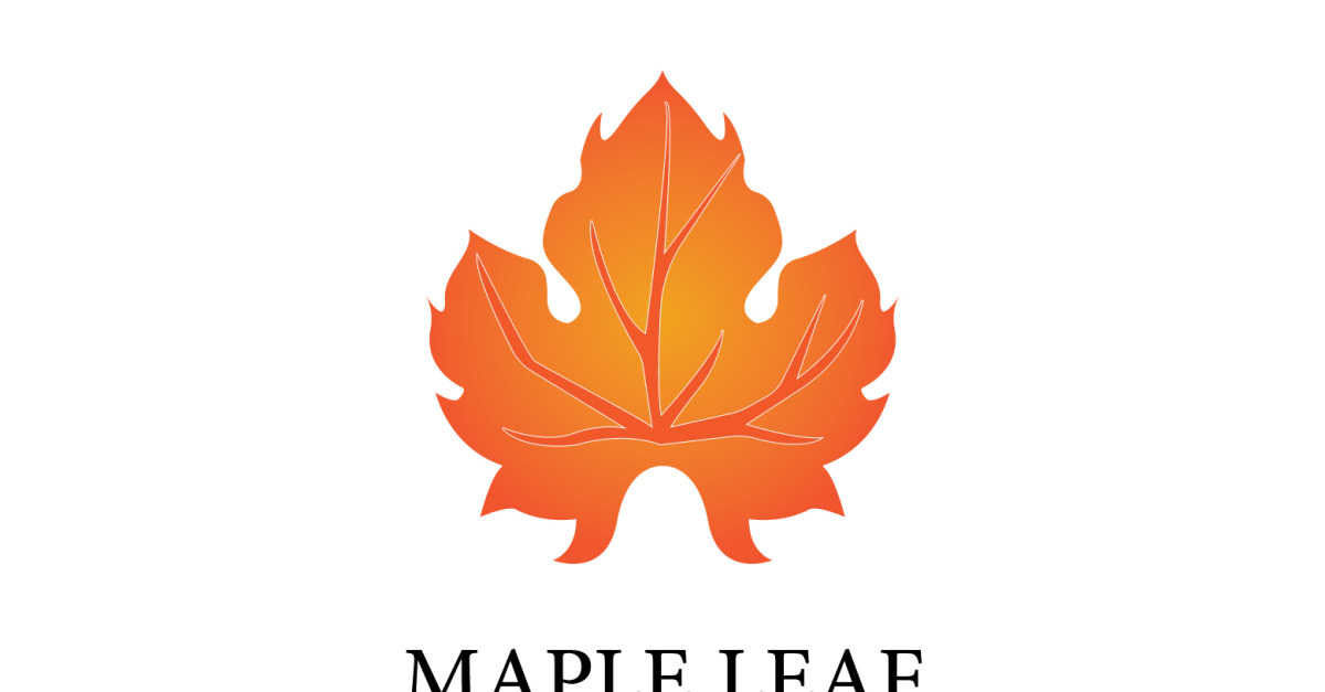 Leaf Mapple vector logo icon v11 #355062 - TemplateMonster