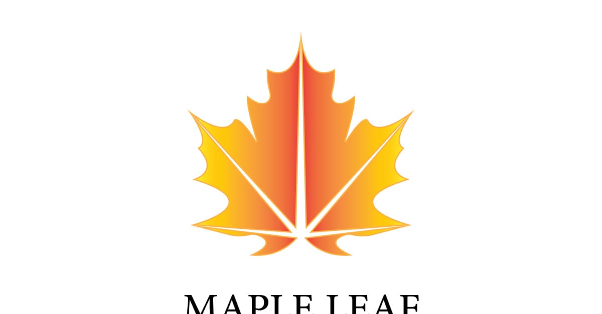 Leaf Mapple vector logo icon v12 #355056 - TemplateMonster