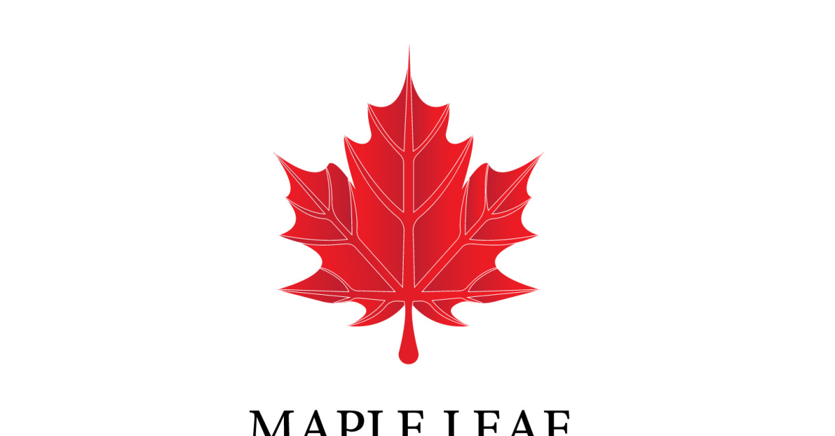 Leaf Mapple vector logo icon v15 #355063 - TemplateMonster